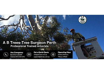 3 Best Tree Services in Perth, WA - ThreeBestRated