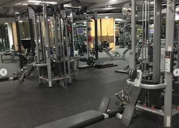 3 Best Gyms in Sydney, NSW - Expert Recommendations