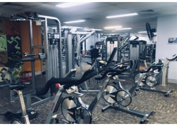 3 Best Gyms in Sydney, NSW - Expert Recommendations