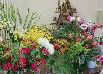 3 Best Florists in Darwin - Expert Recommendations