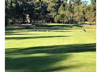3 Best Golf Courses in Bendigo, VIC - Expert Recommendations