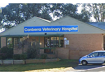 3 Best Veterinarians in Canberra, ACT - Expert Recommendations