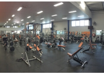 3 Best Gyms in Bundaberg, QLD - Expert Recommendations