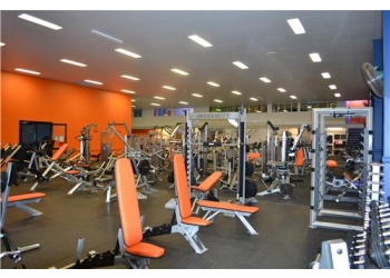3 Best Gyms in Bundaberg, QLD - Expert Recommendations