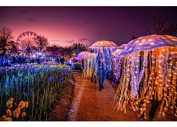 3 Best Parks in Canberra - Expert Recommendations