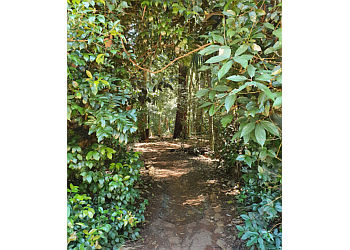 3 Best Hiking Trails in Gold Coast, QLD - Expert Recommendations