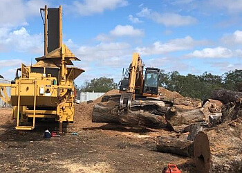 3 Best Tree Services in Toowoomba - Expert Recommendations