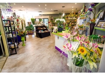 3 Best Florists in Darwin, NT - Expert Recommendations
