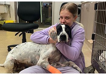 3 Best Veterinarians in Melbourne - Expert Recommendations