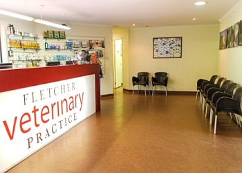 3 Best Veterinarians in Newcastle, NSW - Expert Recommendations