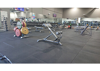 3 Best Gyms in Wodonga - Expert Recommendations