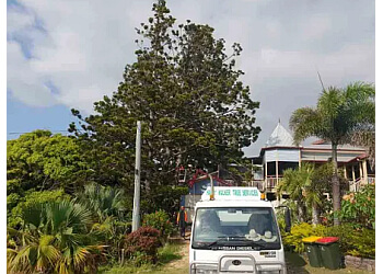 3 Best Tree Services in Rockhampton, QLD - Expert Recommendations