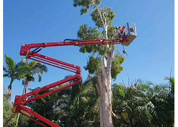 3 Best Tree Services in Rockhampton, QLD - Expert Recommendations