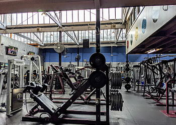 3 Best Gyms in Launceston - Expert Recommendations