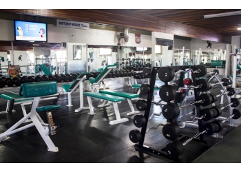 3 Best Gyms in Bundaberg, QLD - Expert Recommendations