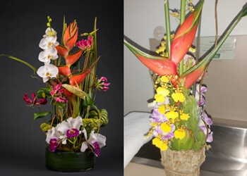3 Best Florists in Cairns, QLD - Expert Recommendations