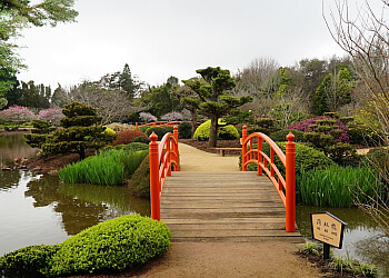 3 Best Places To Visit in Toowoomba - Expert Recommendations