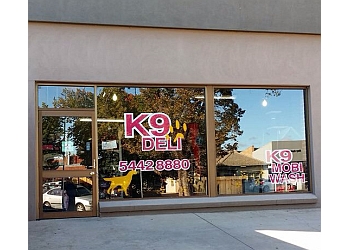 3 Best Dog Grooming in Bendigo, VIC - Expert Recommendations