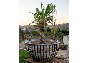 3 Best Landscaping Companies in Mackay, QLD - Expert Recommendations