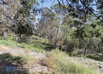 3 Best Places To Visit in Mittagong, NSW - Expert Recommendations