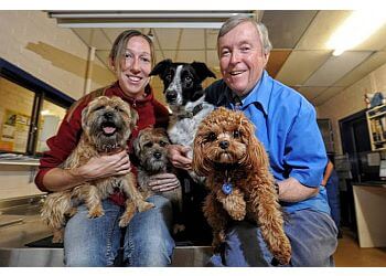 3 Best Veterinarians in Perth - Expert Recommendations