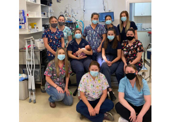 3 Best Veterinarians in Tamworth, NSW - Expert Recommendations