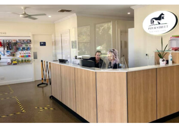 3 Best Veterinarians in Tamworth, NSW - Expert Recommendations