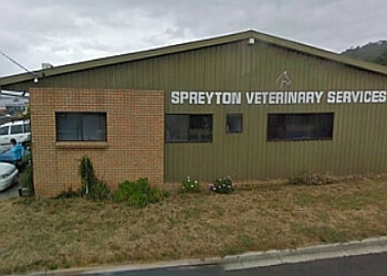 3 Best Veterinarians in Devonport - Expert Recommendations