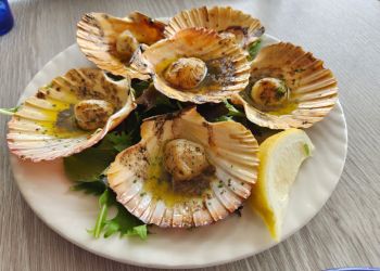 3 Best Seafood Restaurants in Newcastle, NSW - ThreeBestRated