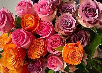 3 Best Florists in Shepparton, VIC - ThreeBestRated