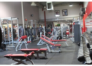 3 Best Gyms in Mackay, QLD - Expert Recommendations