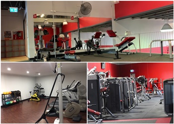 3 Best Gyms in Mackay, QLD - Expert Recommendations