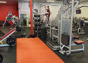 3 Best Gyms in Albany - Expert Recommendations