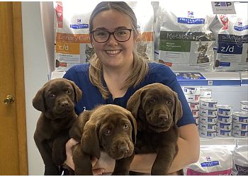 3 Best Veterinarians in Devonport - Expert Recommendations