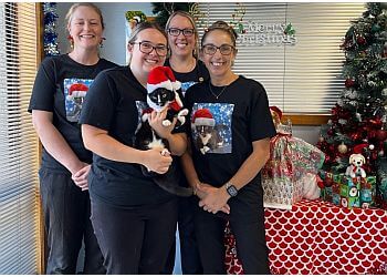 3 Best Veterinarians in Devonport - Expert Recommendations