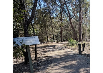 3 Best Hiking Trails in Brisbane, QLD - Expert Recommendations