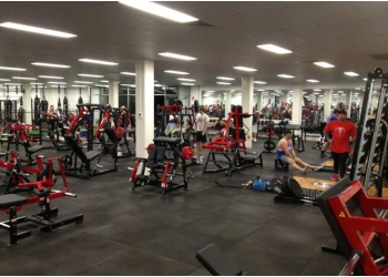 3 Best Gyms in Newcastle, NSW - Expert Recommendations