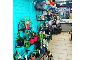 3 Best Florists in Traralgon, VIC - ThreeBestRated