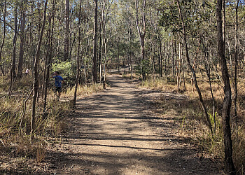 3 Best Hiking Trails in Brisbane - Expert Recommendations