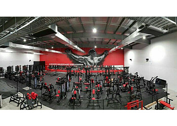 3 Best Gyms in Mackay, QLD - ThreeBestRated